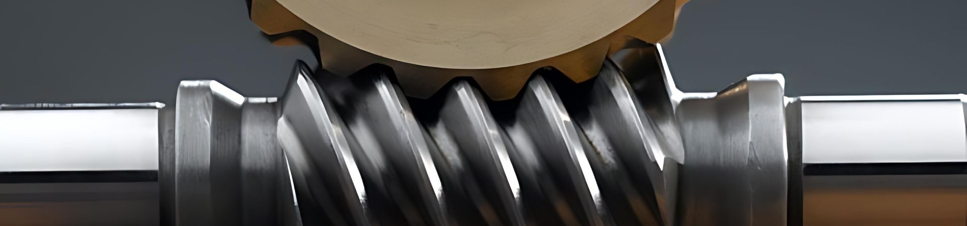 TOTAL CARTER SG - DẦU BÁNH RĂNG